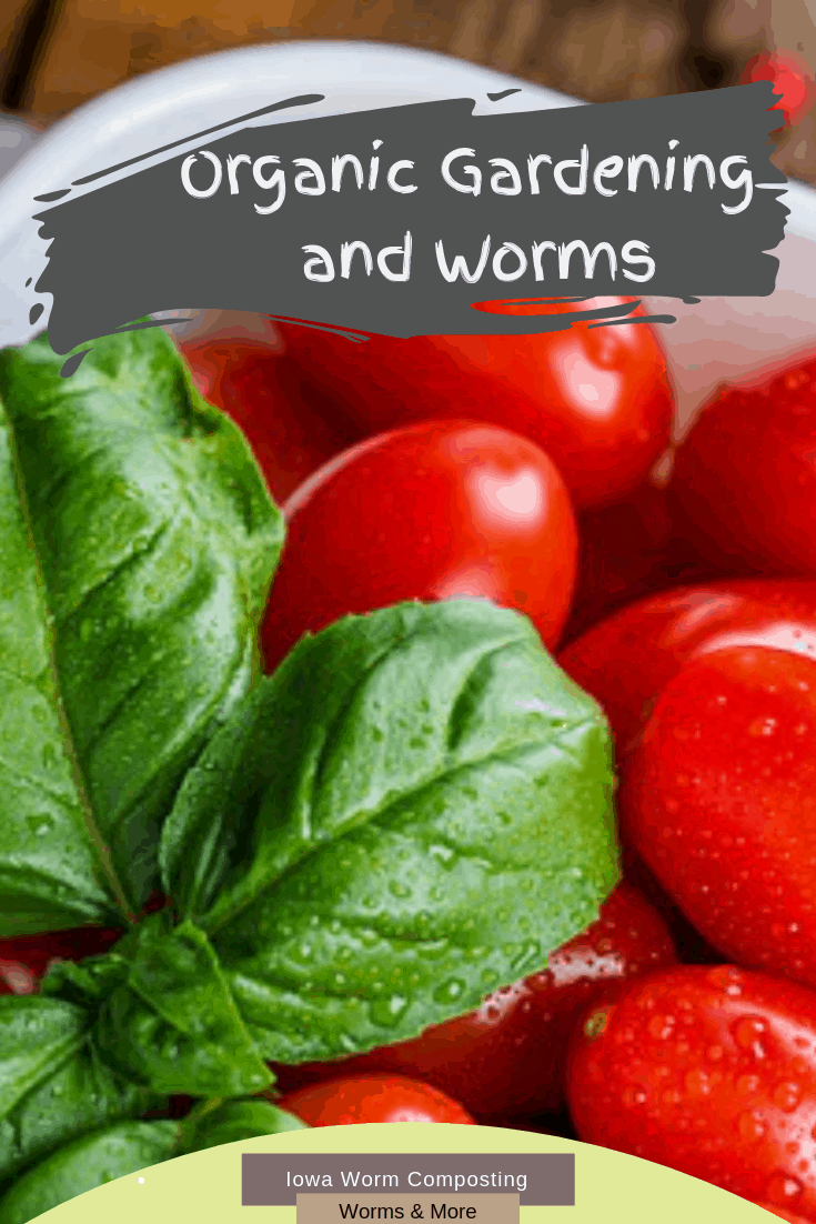 Organic Gardening and Worms - Iowa Worm Composting