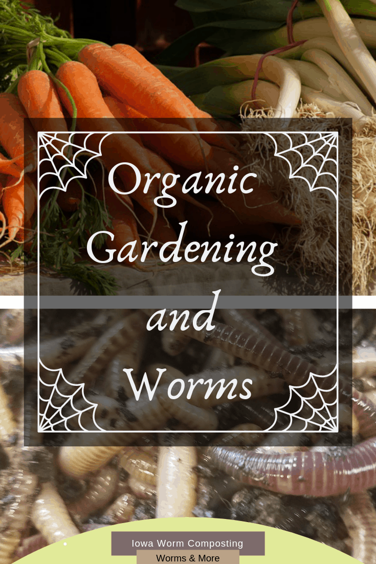 Organic Gardening and Worms - Iowa Worm Composting