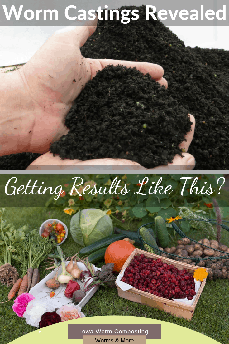 Worm Castings Revealed - Iowa Worm Composting