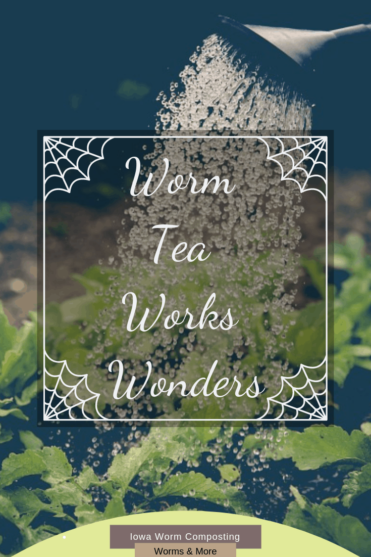 Worm Tea Works Wonders - Iowa Worm Composting