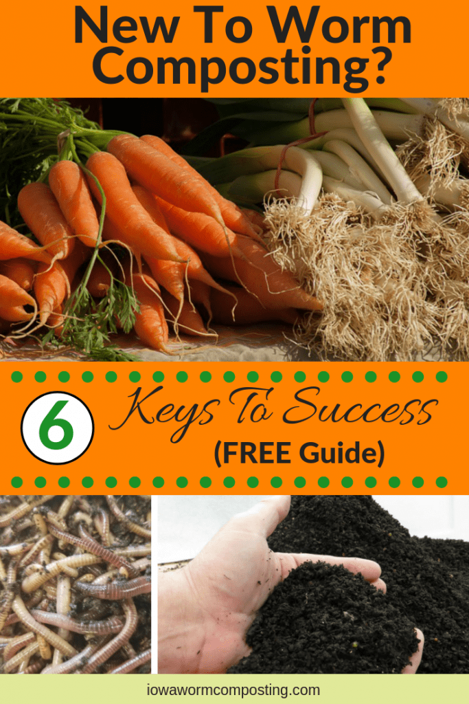 11 Easy Tips For Getting Started with Red Worms