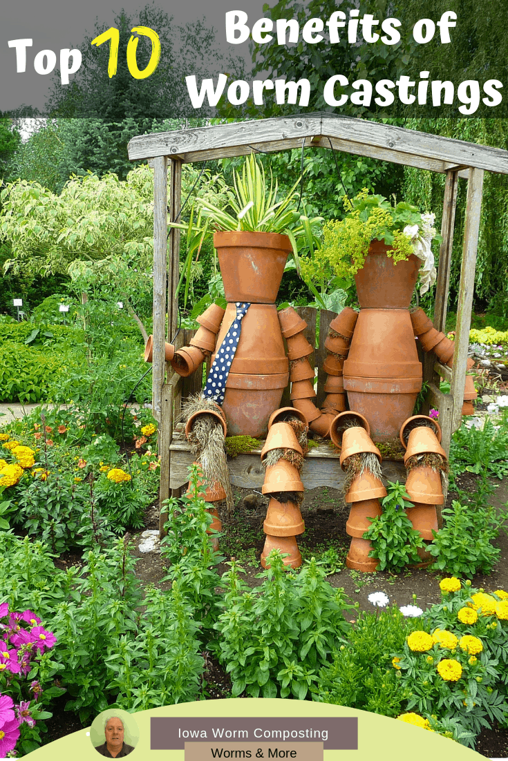 Top 10 Benefits of Worm Castings - Iowa Worm Composting