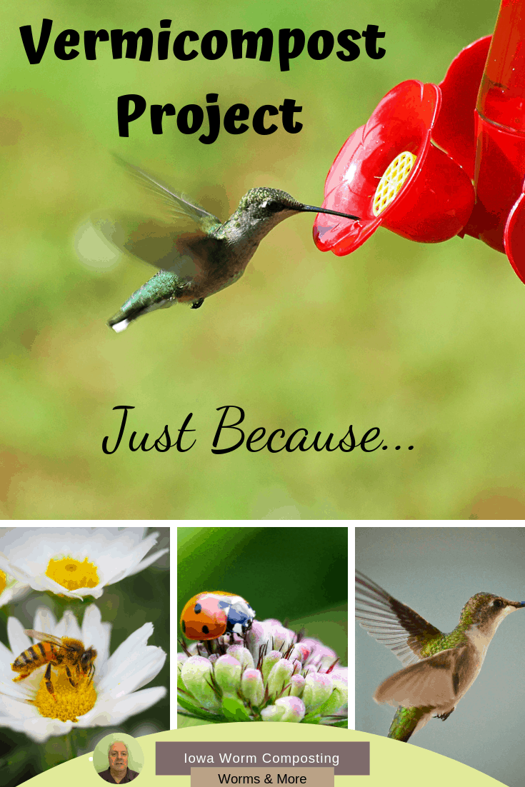 Vermicompost Project: 3 Reasons To Start Vermicomposting Today - Iowa ...